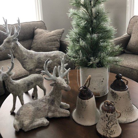 Gala 2021: Silent Auction Sneak Peek - Friends of AWC